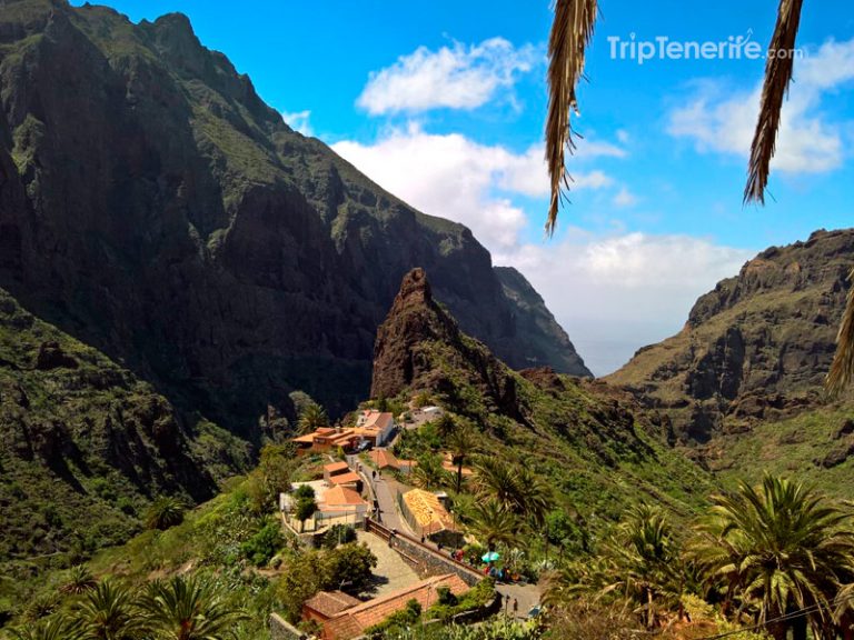 Masca kloof trektocht in Tenerife - Boek via TripTenerife.com